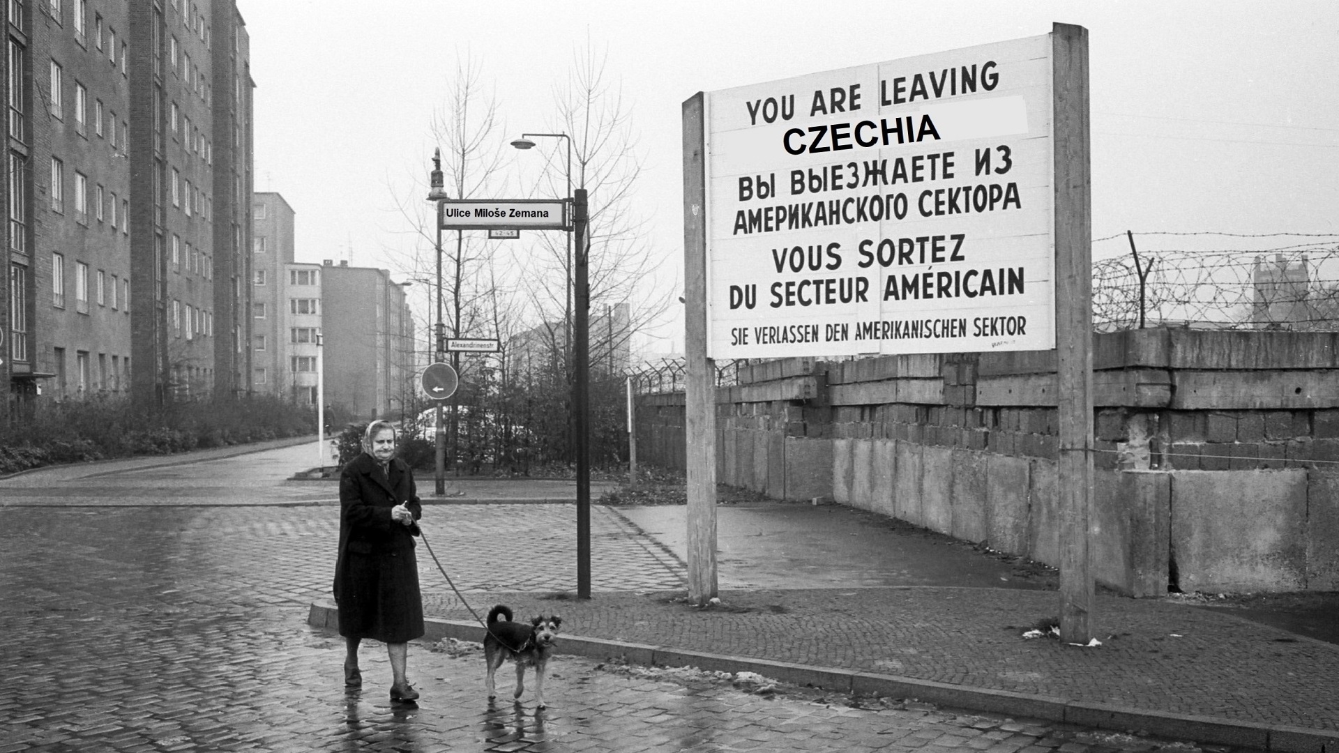 Emigrace, vajíčkové sendviče a Nena | Flog.cz